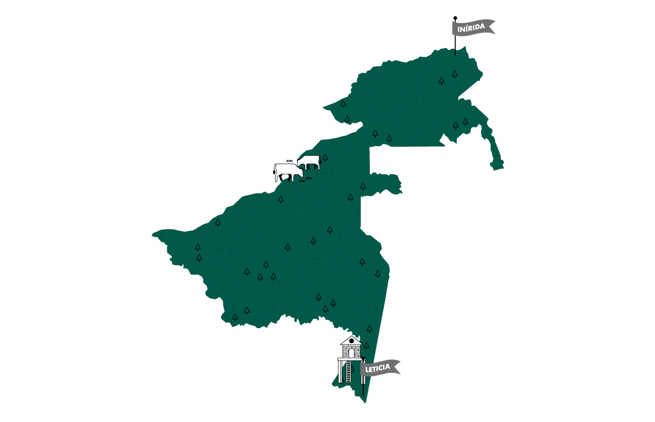 Amazonía - Comisión de la Verdad Colombia